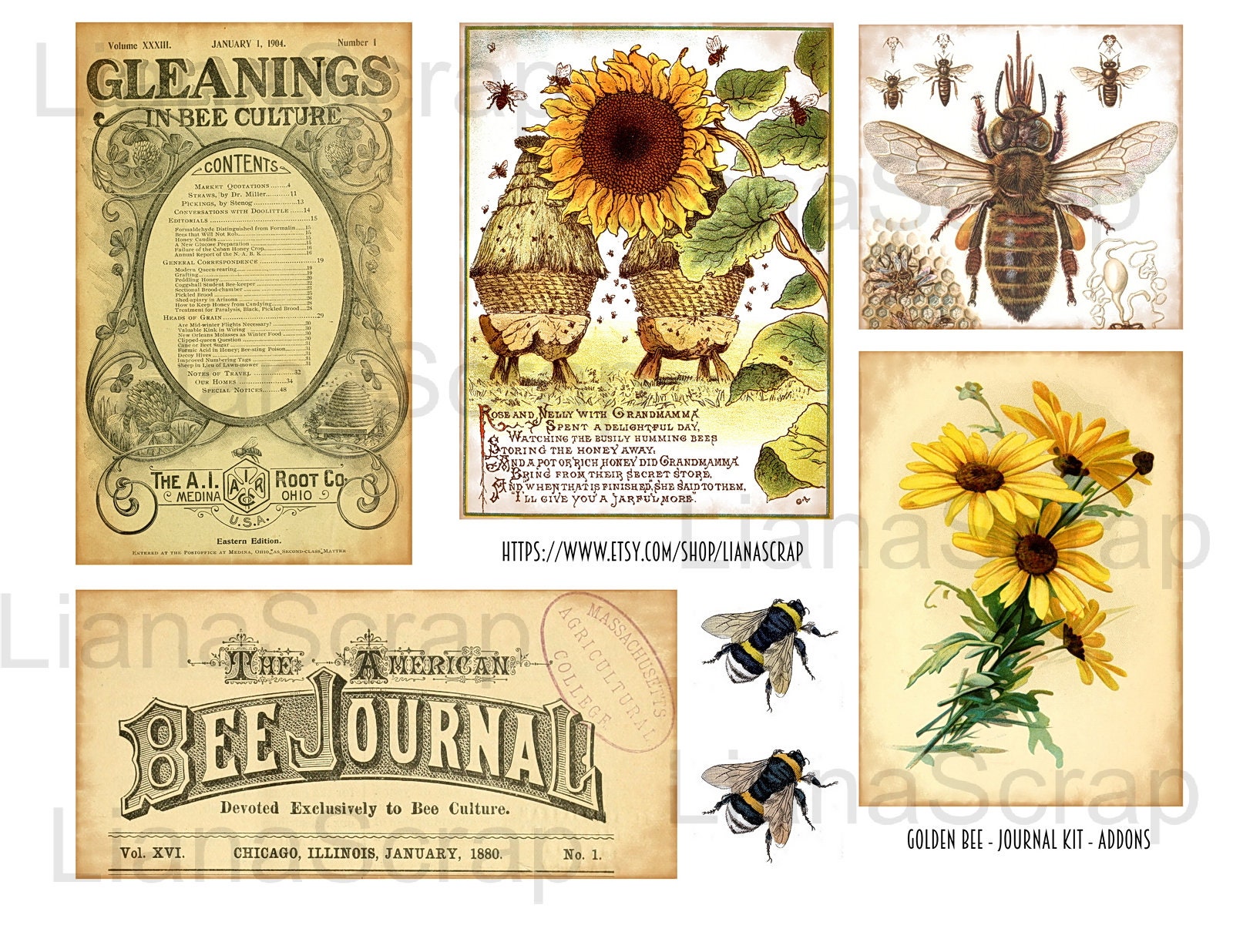 Vintage Bee Ephemera Printables Bee Hive Honey Apiculture - Etsy Australia