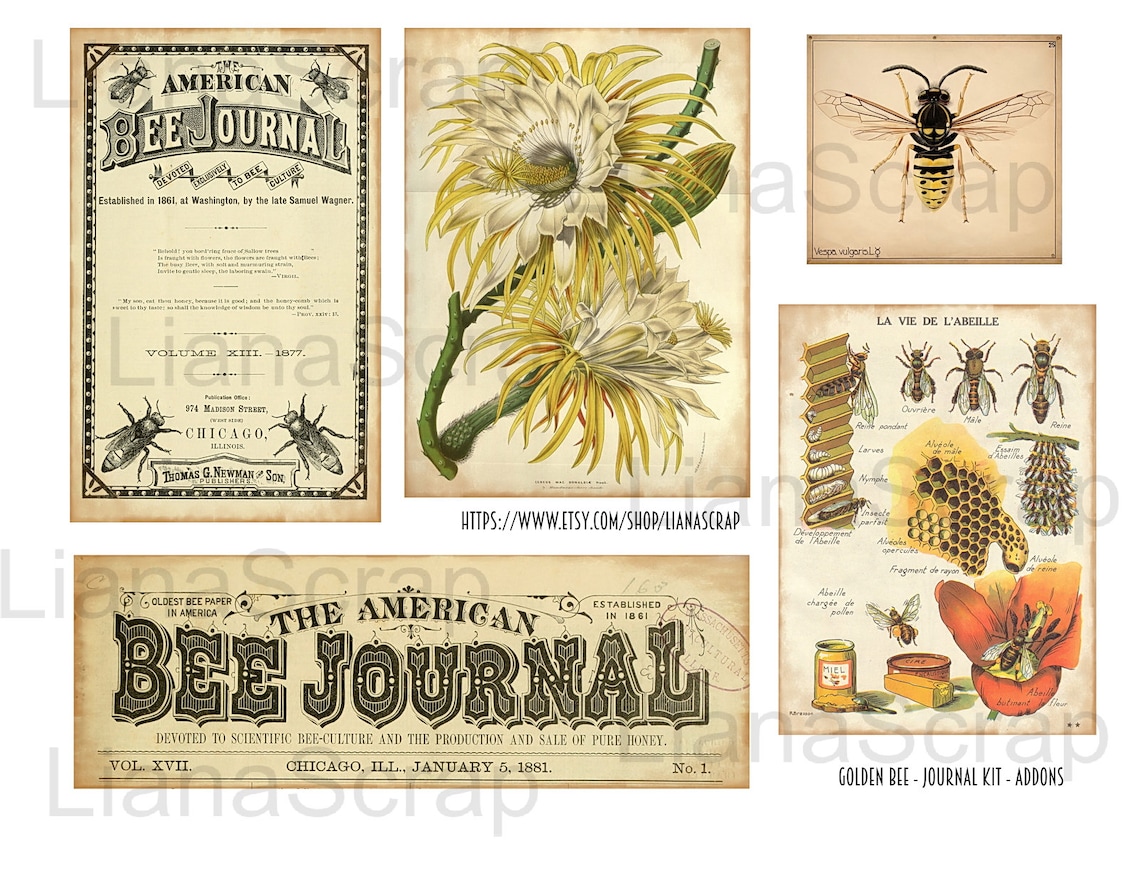 Vintage Bee Ephemera Printables Bee Hive Honey Apiculture - Etsy UK