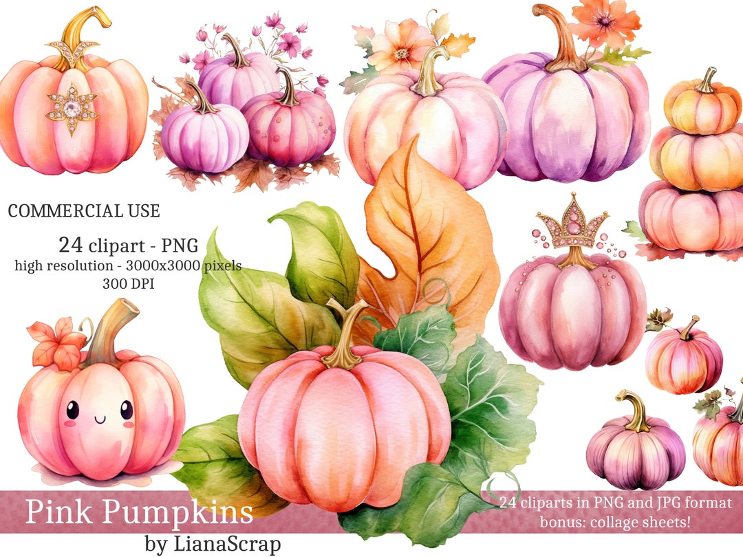 Pink Pumpkins Clipart PNG Set, 24 Pumpkin Clipart, Commercial Use Clip ...