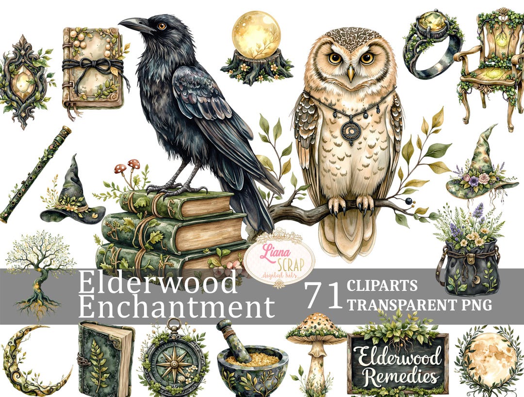 Witchcore Clipart Set – Botanical Watercolor PNG, Forest Animals ...