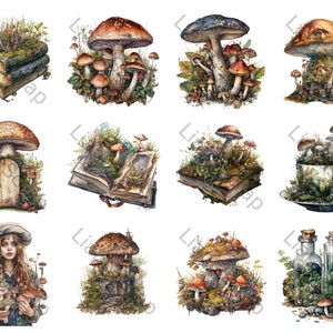 Forest Mushrooms Clipart PNG Set, 29 Mushroom Clipart, Commercial Use ...