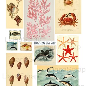Sea Ephemera Printables, Digital Ocean Printables, Nautical Collage ...