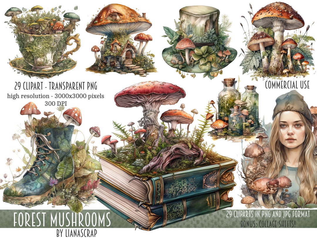 Forest Mushrooms Clipart PNG Set, 29 Mushroom Clipart, Commercial Use ...