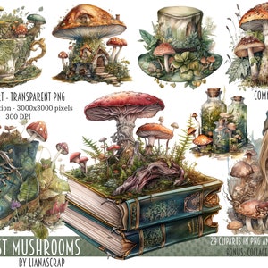 Forest Mushrooms Clipart PNG Set, 29 Mushroom Clipart, Commercial Use ...