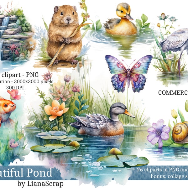 Pond Clipart - Etsy