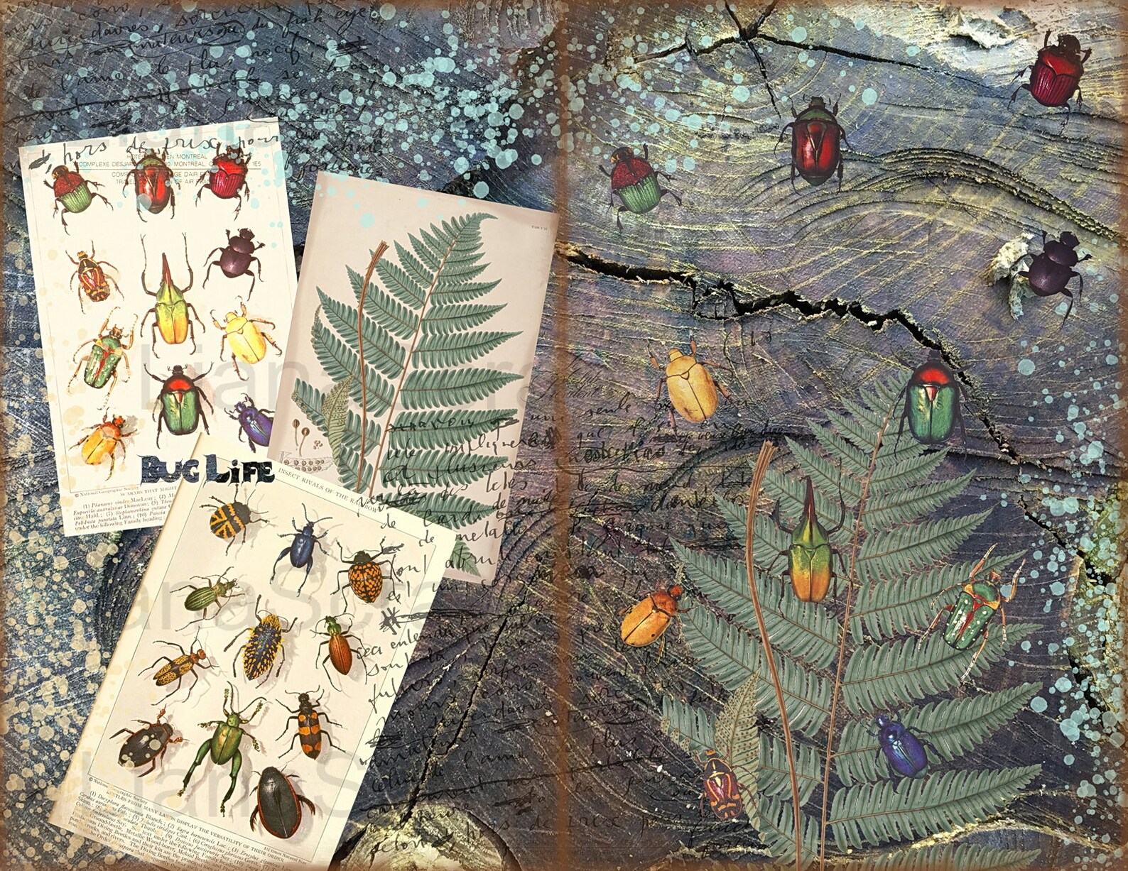 Bug Life Junk Journal Digital Kit Nature Printable Journal - Etsy