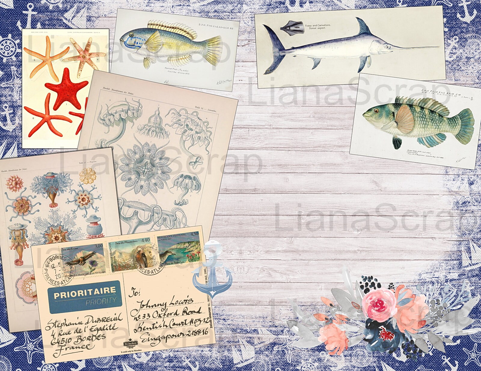 Sea Life Junk Journal Kit Digital Ocean Printables Nautical - Etsy