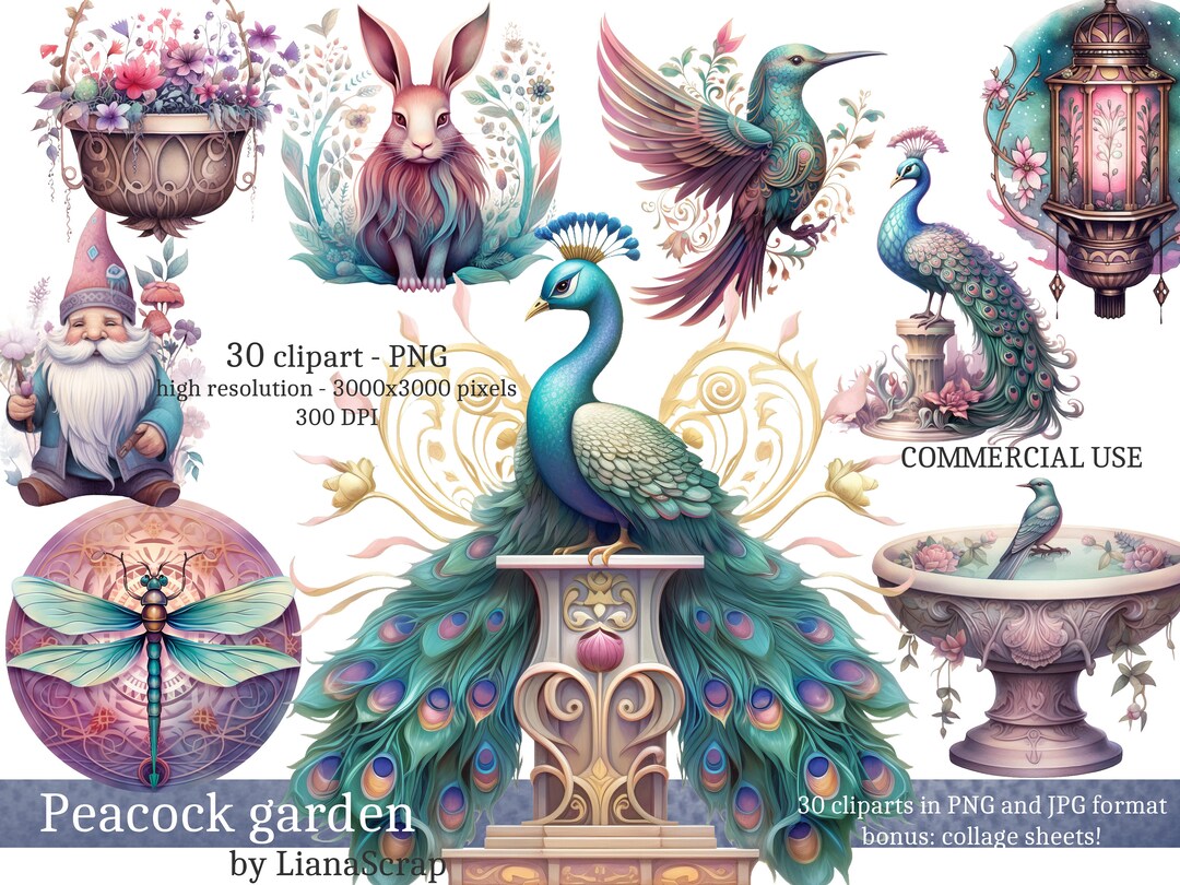 Peacock Garden Clipart PNG Set 30 Enchanted Garden Clipart - Etsy Australia