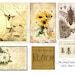 Vintage Bee Ephemera Printables, Bee Hive Honey Apiculture Digital ...