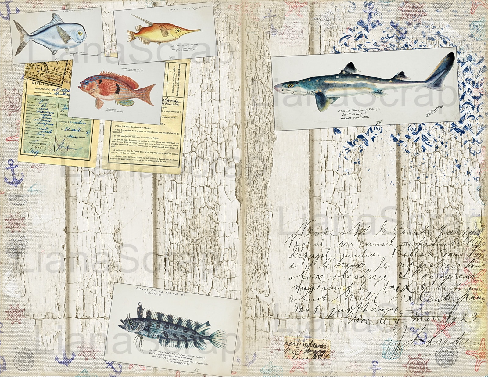 Sea Life Junk Journal Kit Digital Ocean Printables Nautical - Etsy