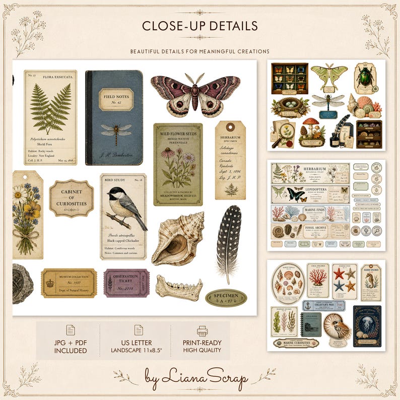 Printable Junk Journal Addon Set, Cabinet of A Naturalist, 32 Pages ...