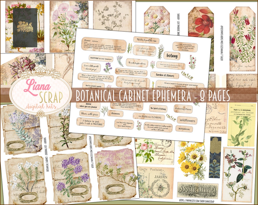 Vintage Botanical Ephemera, Floral Collage Sheets (digital Kit) - Etsy