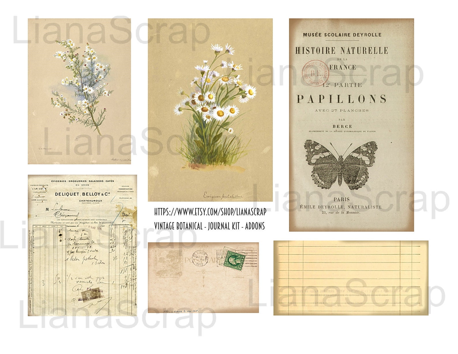 Vintage Botanical Ephemera Printables, Wildflowers Digital Collage ...