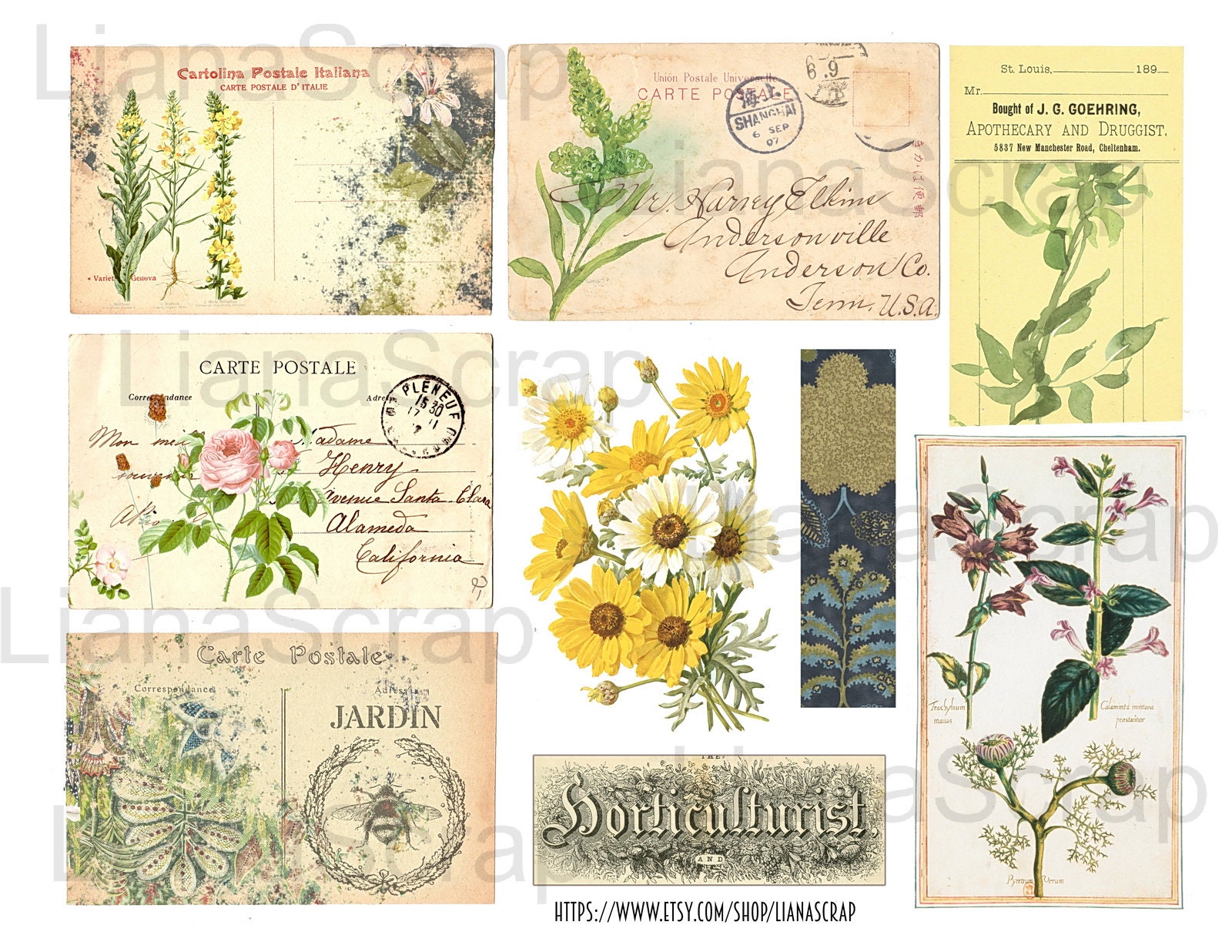 Vintage Botanical Ephemera, Floral Collage Sheets (digital Kit) - Etsy