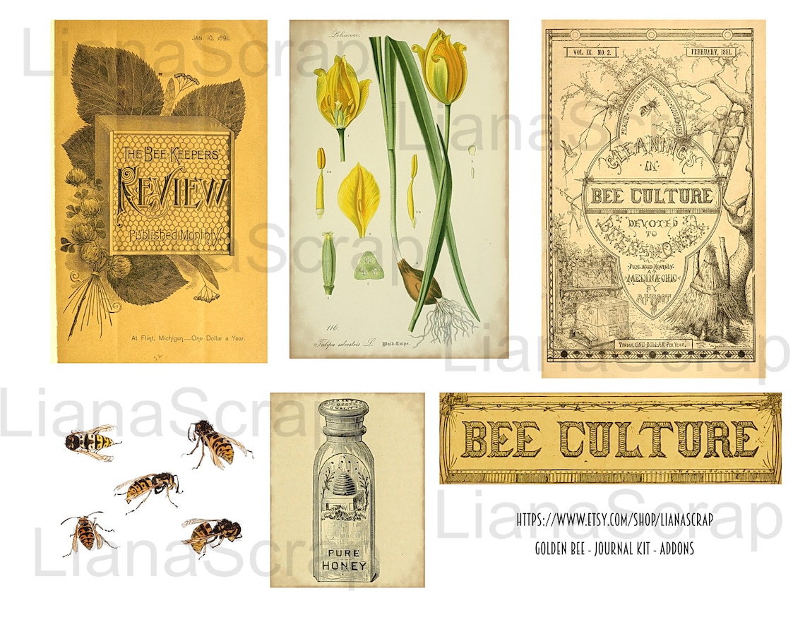 Vintage Bee Ephemera Printables Bee Hive Honey Apiculture - Etsy UK
