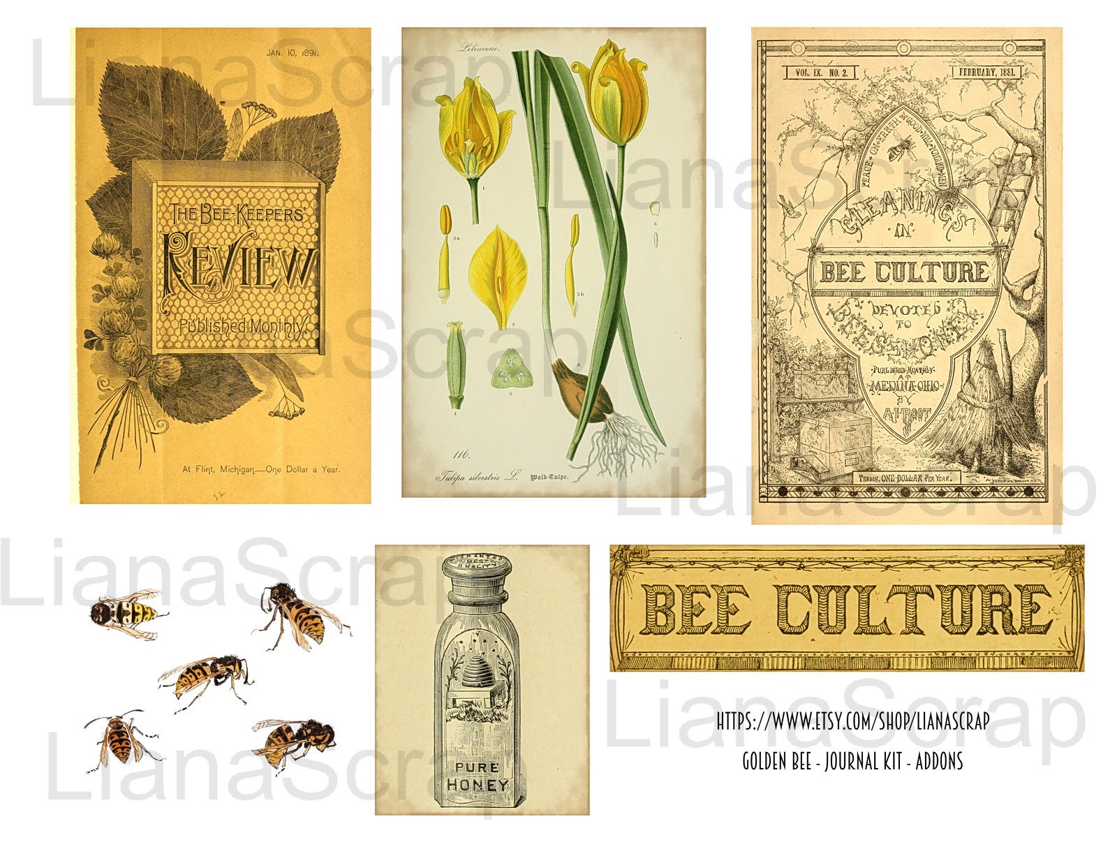 Vintage Bee Ephemera Printables Bee Hive Honey Apiculture - Etsy UK