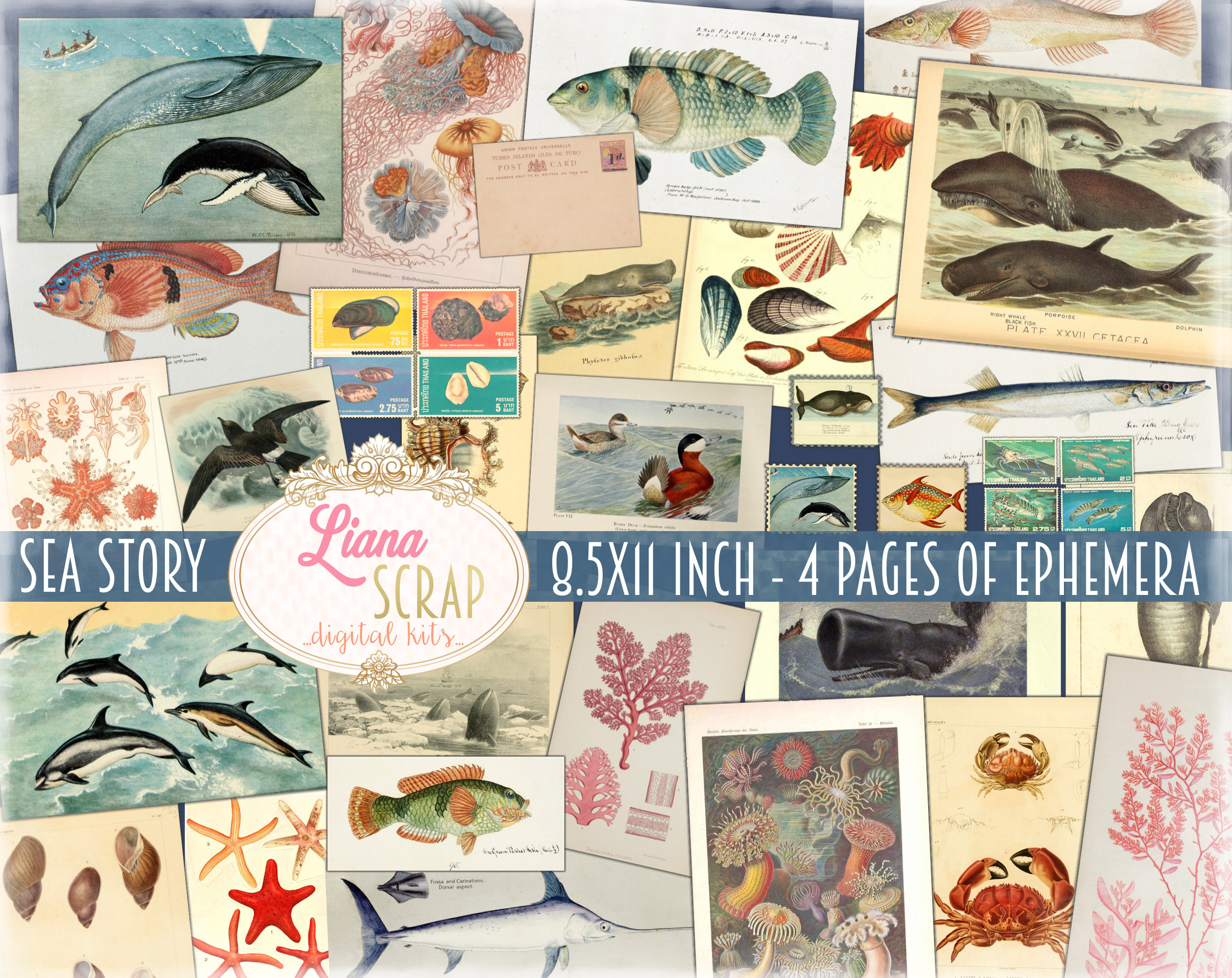 Sea Ephemera Printables Digital Ocean Printables Nautical - Etsy