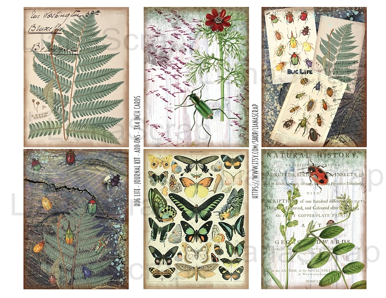 Bug Life Junk Journal Digital Kit Nature Printable Journal | Etsy