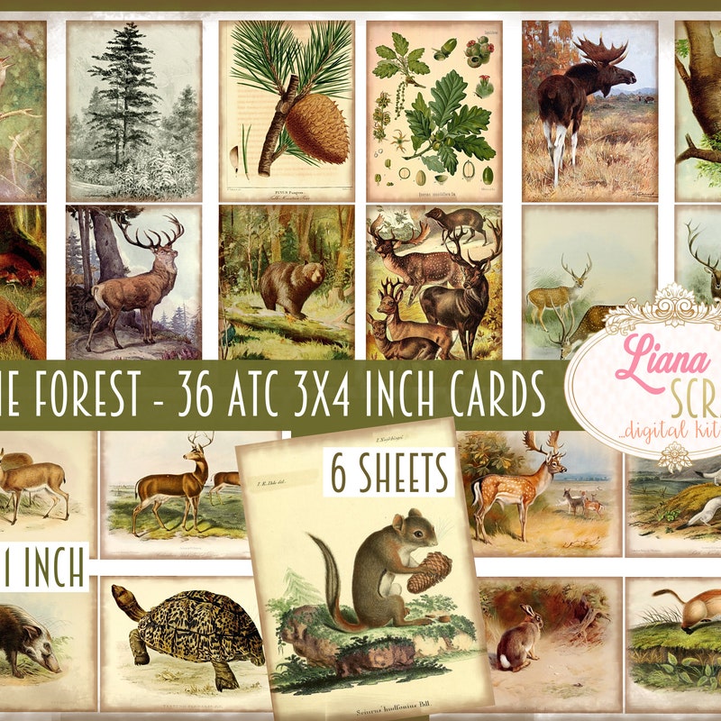 3x4 Cards - Etsy