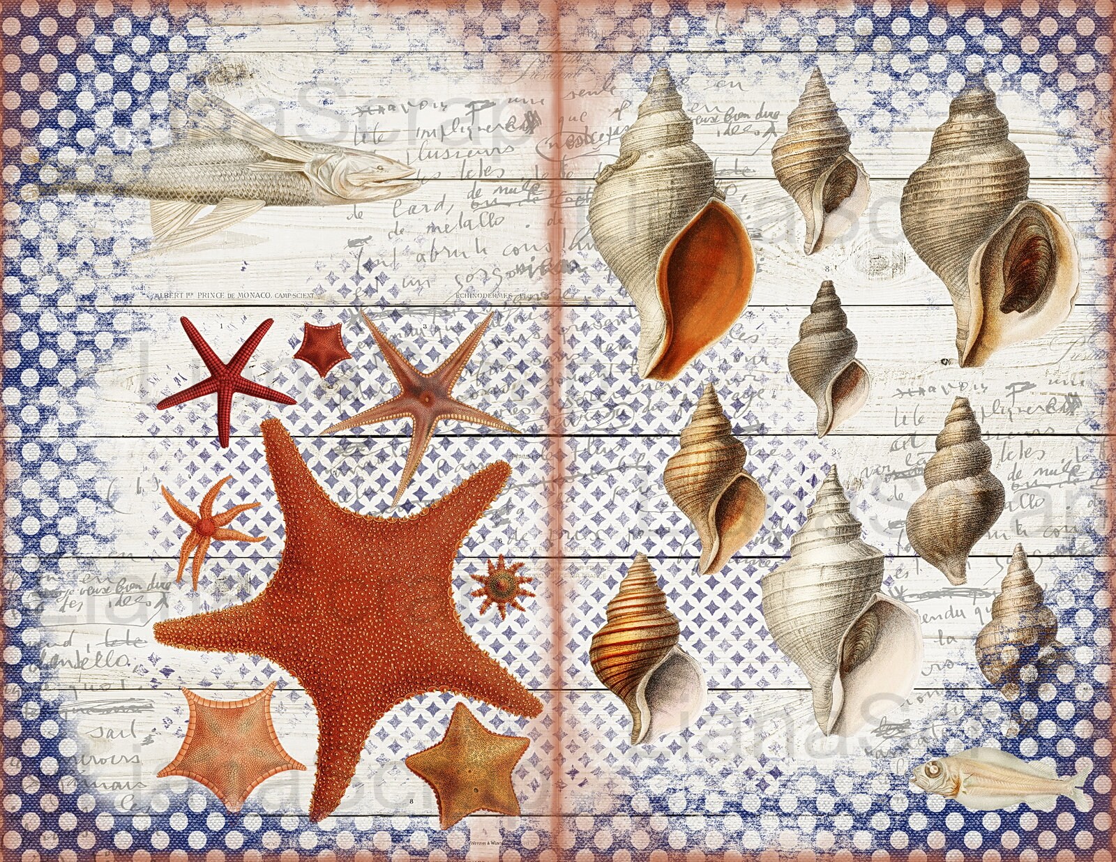 Sea Life Junk Journal Kit Digital Ocean Printables Nautical - Etsy