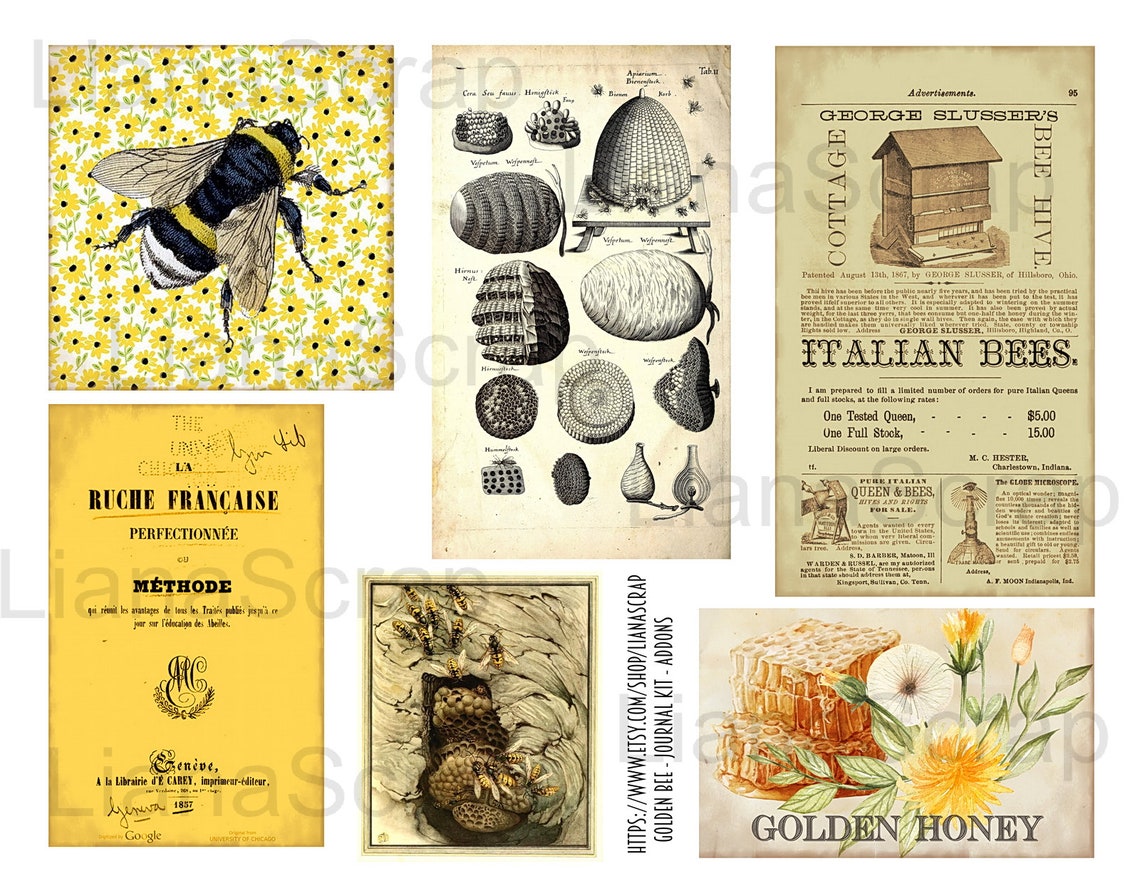 Vintage Bee Ephemera Printables Bee Hive Honey Apiculture - Etsy