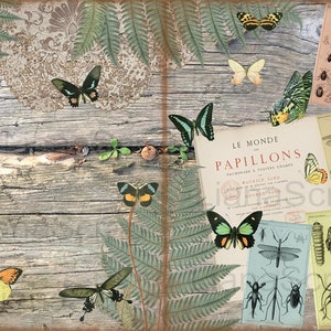 Bug Life Junk Journal Digital Kit, Nature Printable Journal, Insects ...