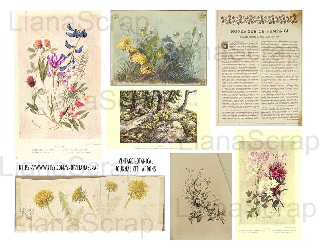 Vintage Botanical Ephemera Printables, Wildflowers Digital Collage ...