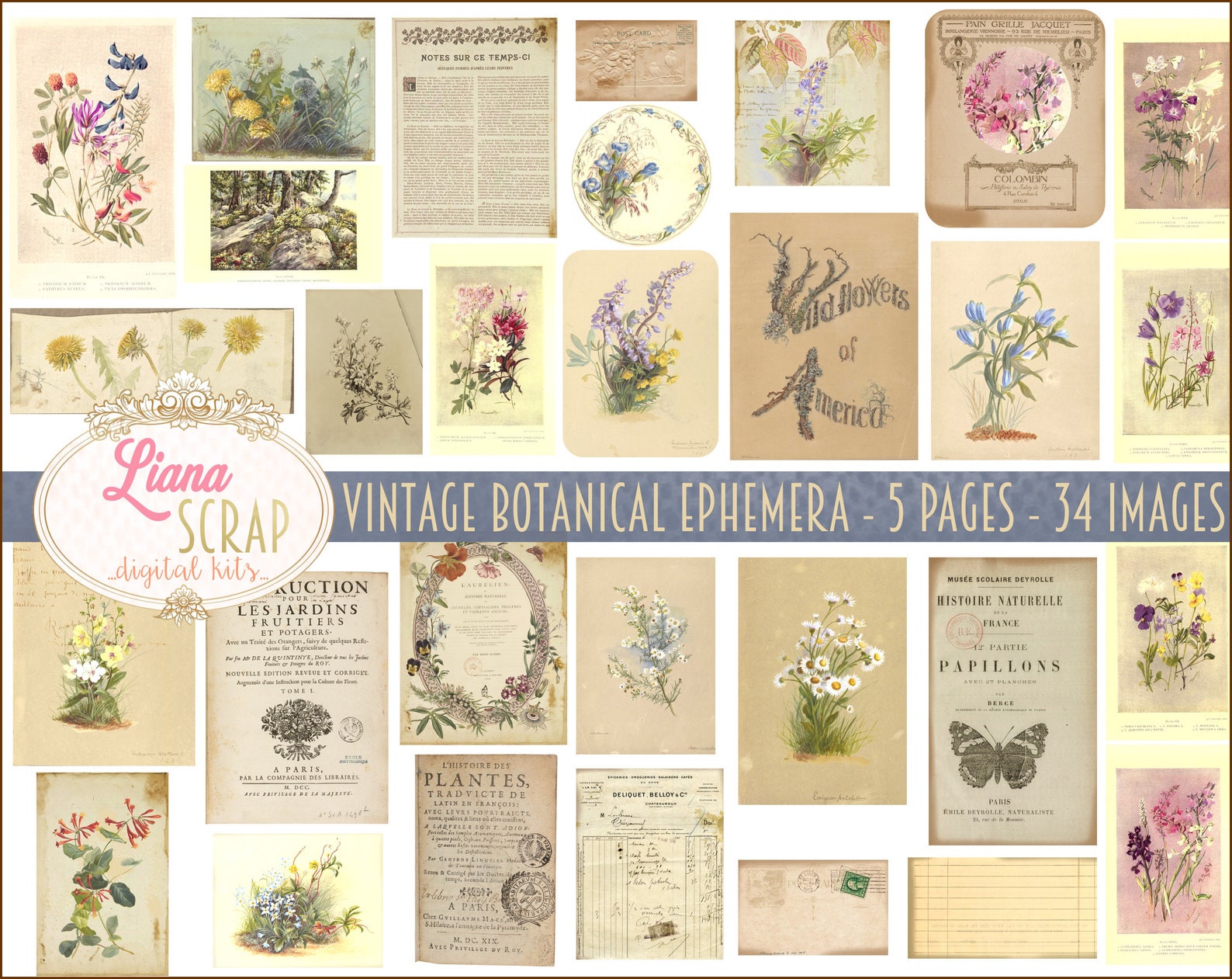 Vintage Botanical Ephemera Printables, Wildflowers Digital Collage ...