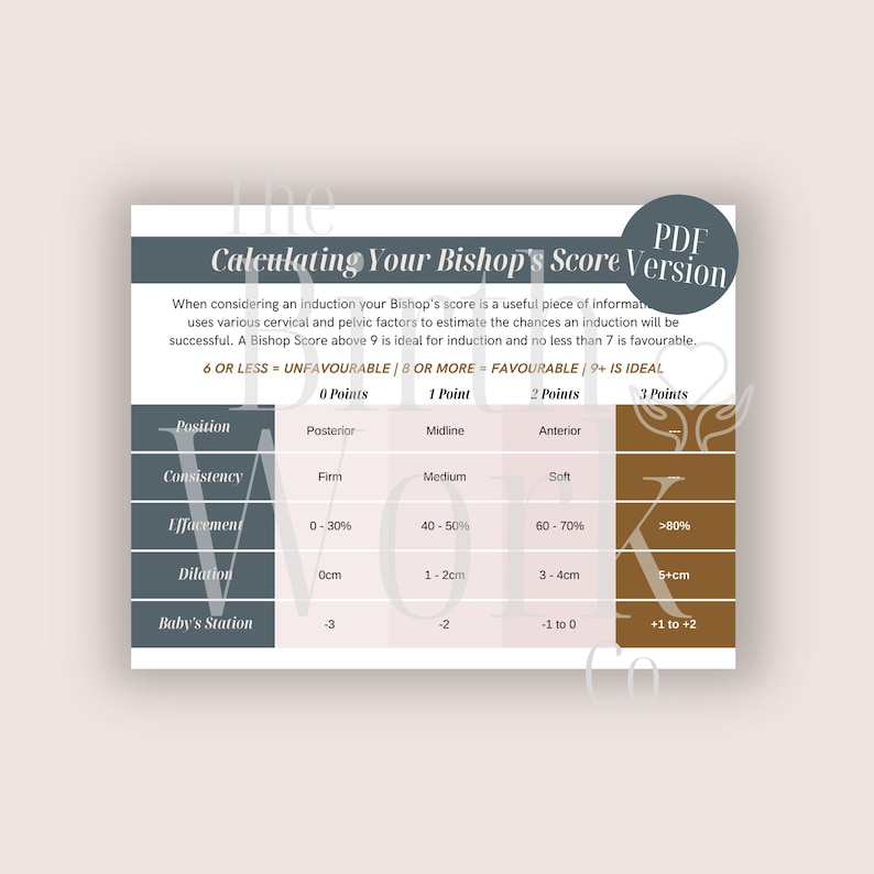Bishop Score Chart Handout: Canva Template + PDF - Evidence-based ...