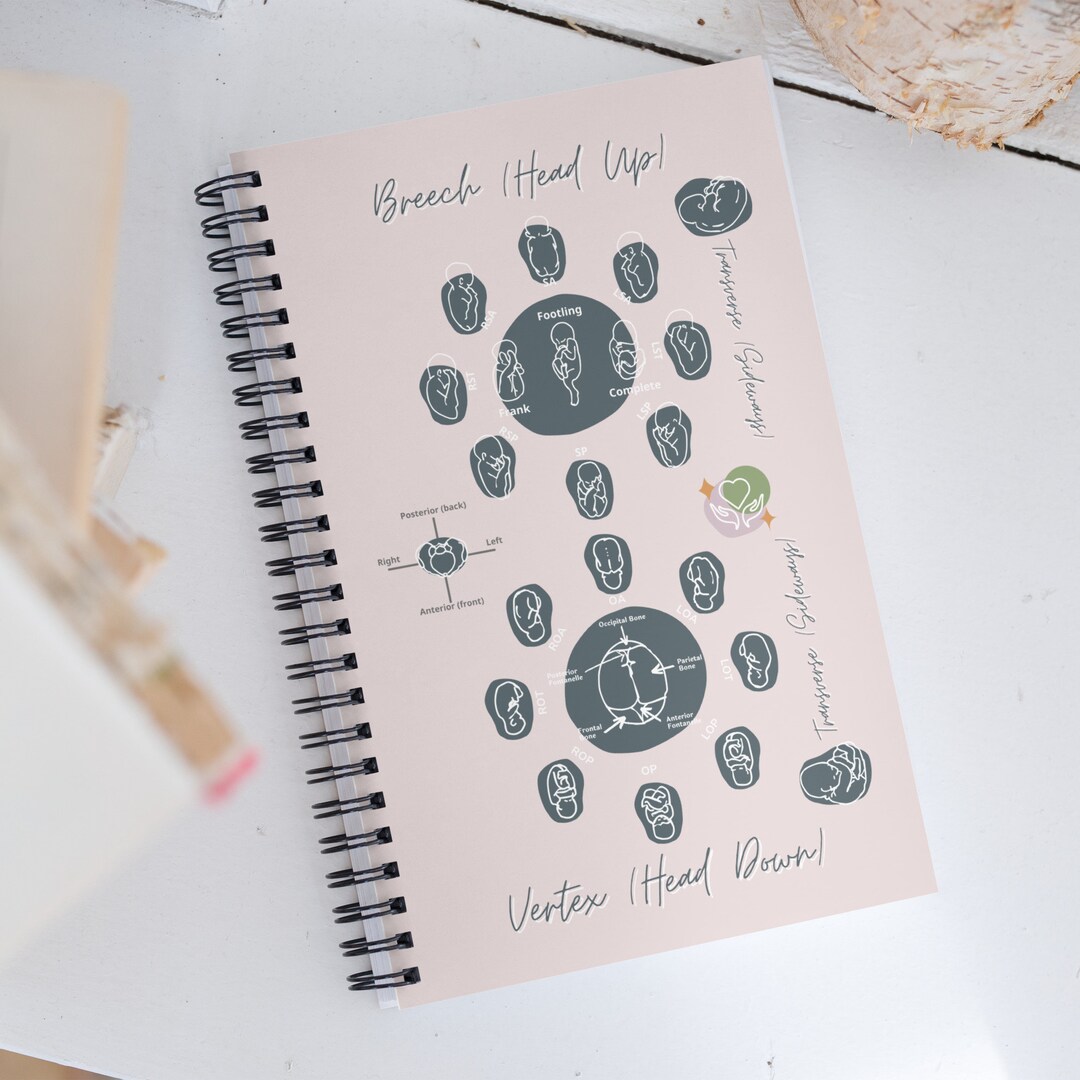 Fetal Positioning Chart Spiral Doula Notebook Pink and Blue - Etsy