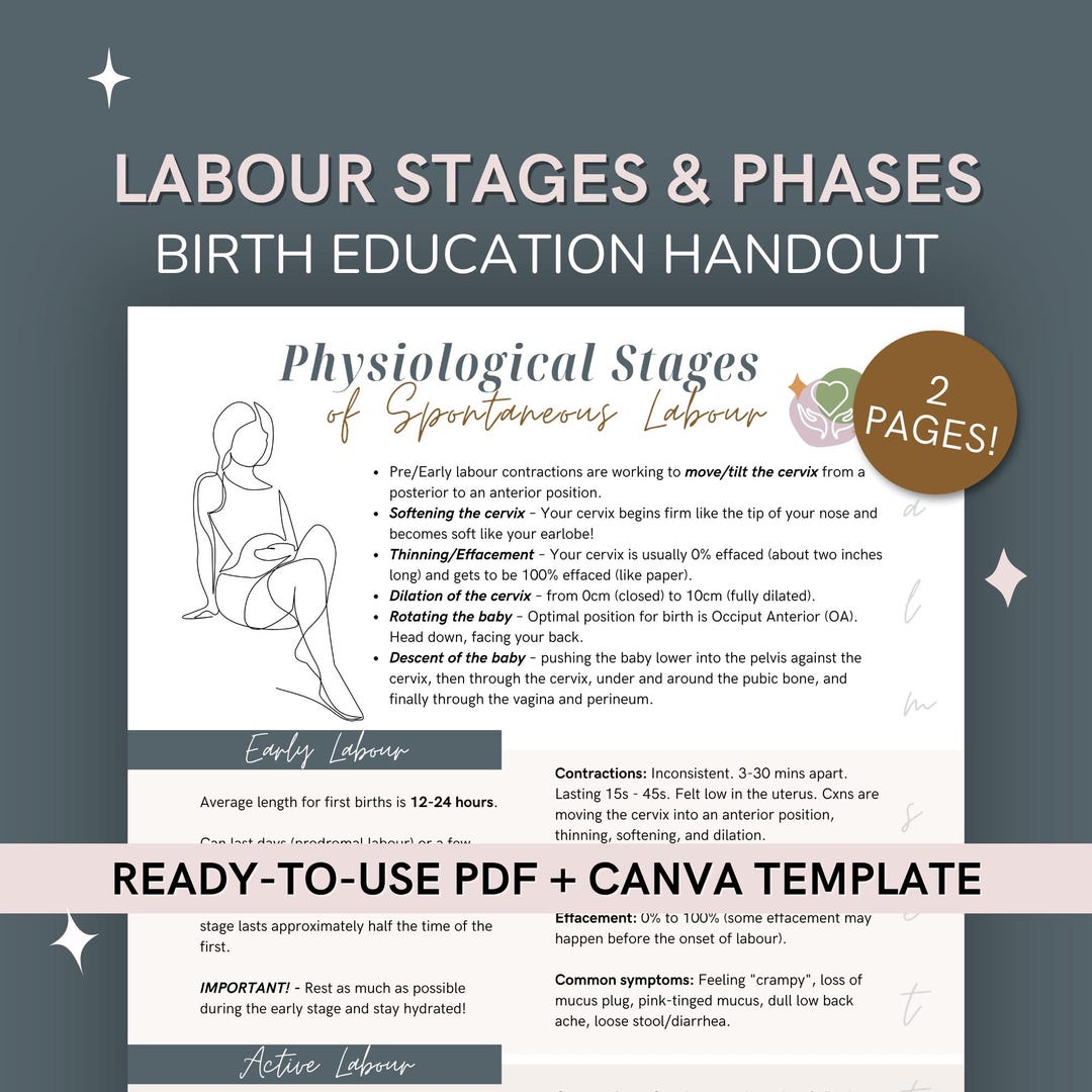 Buy Labour Stages & Phases Handout: Canva Template + PDF - Evidence ...
