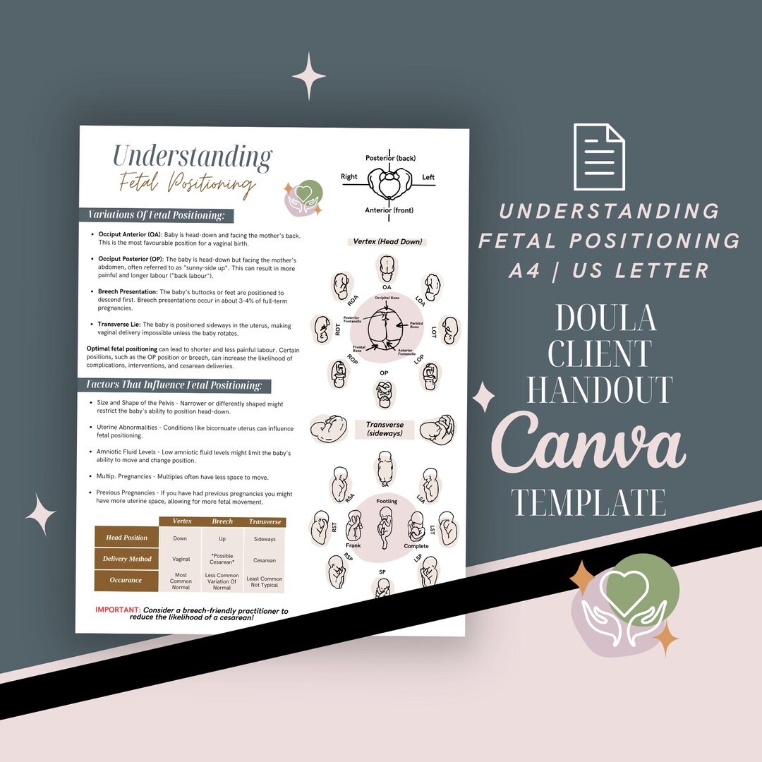 Understanding Fetal Positioning Handout Canva Template and Printable ...