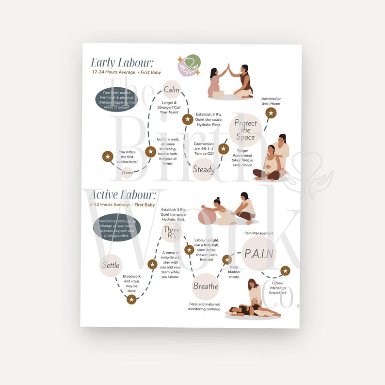 Labour Process Support Timeline | Understanding Labor Flow, Needs and ...
