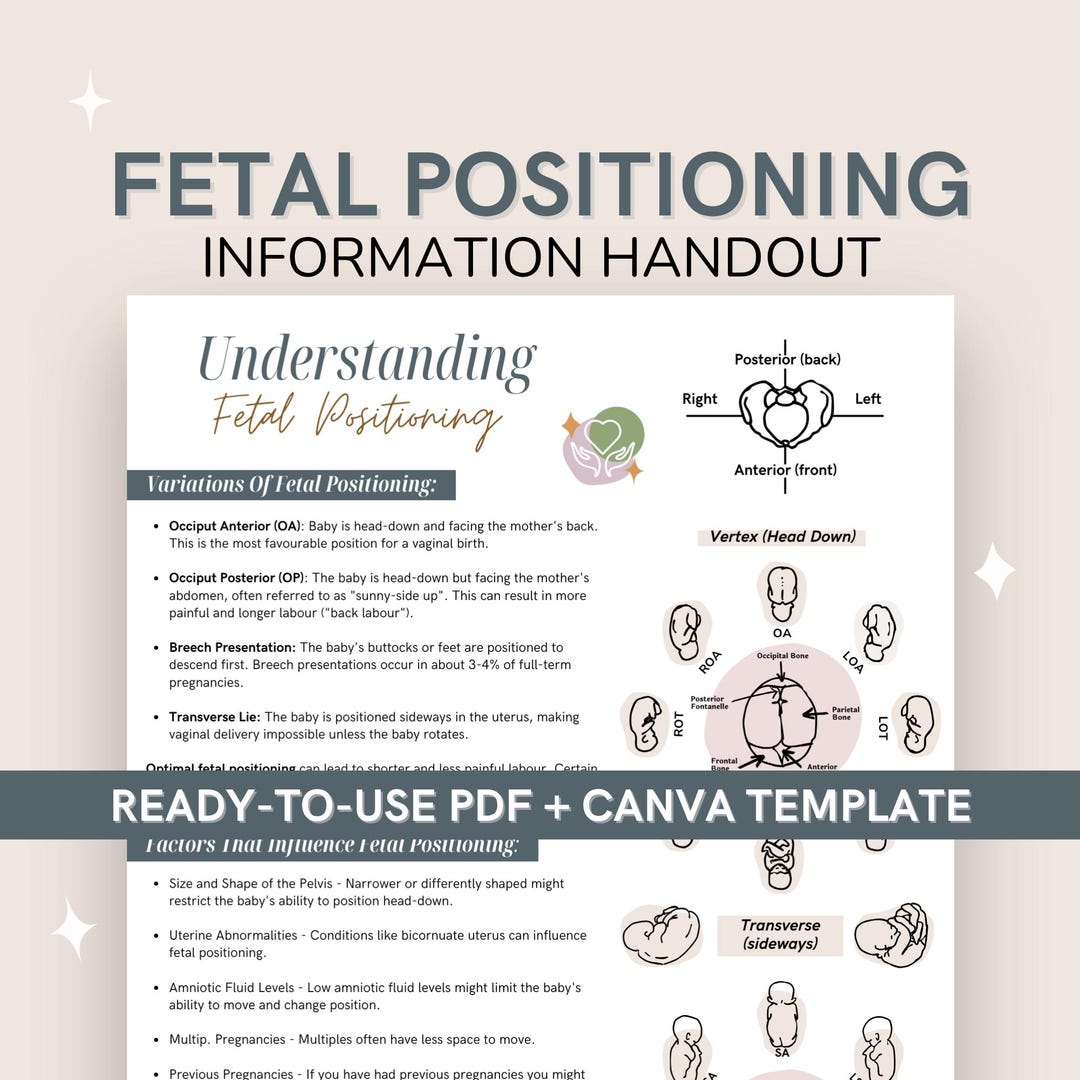 Fetal Positioning During Pregnancy | Understanding Baby Positions and ...