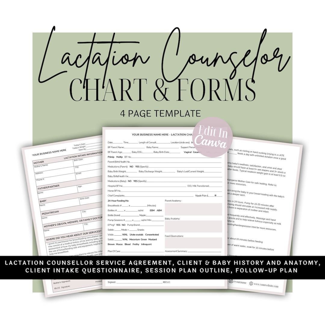Lactation Counselor Chart and Client Intake Forms IBCLC Breastfeeding ...