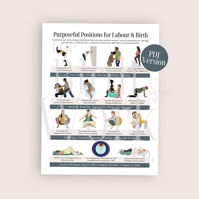 Folleto de posiciones de parto efectivas: plantilla de Canva y PDF ...