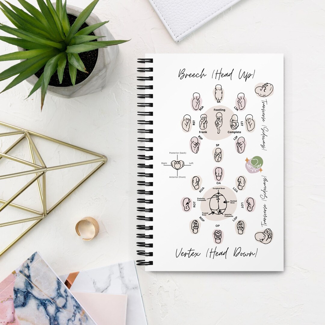 Fetal Positioning Chart Notepad | Birth Doula Tool for Labor Support ...