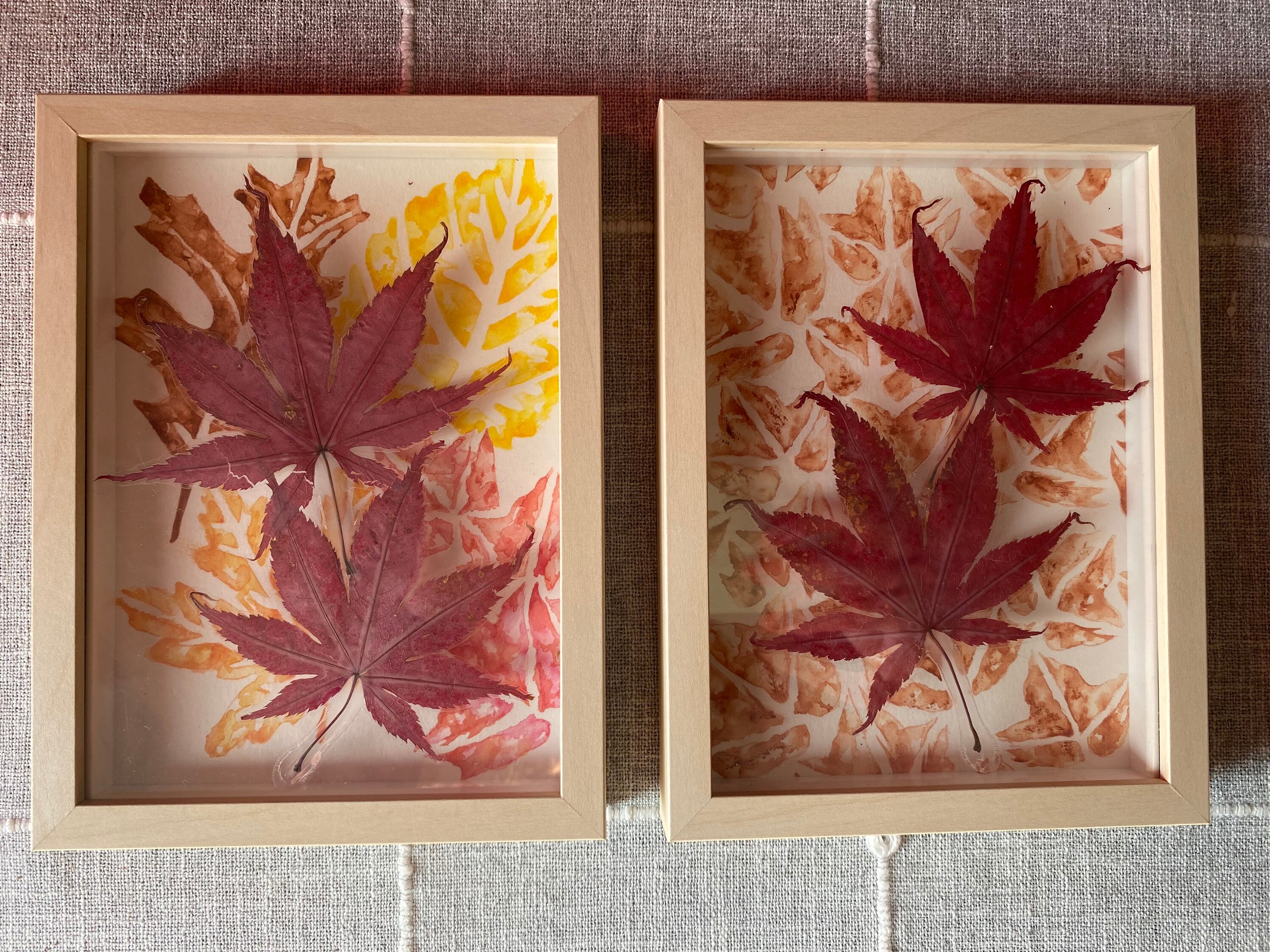 Framed Japanese Maple Leaves With Hand-painted Watercolour Background ...