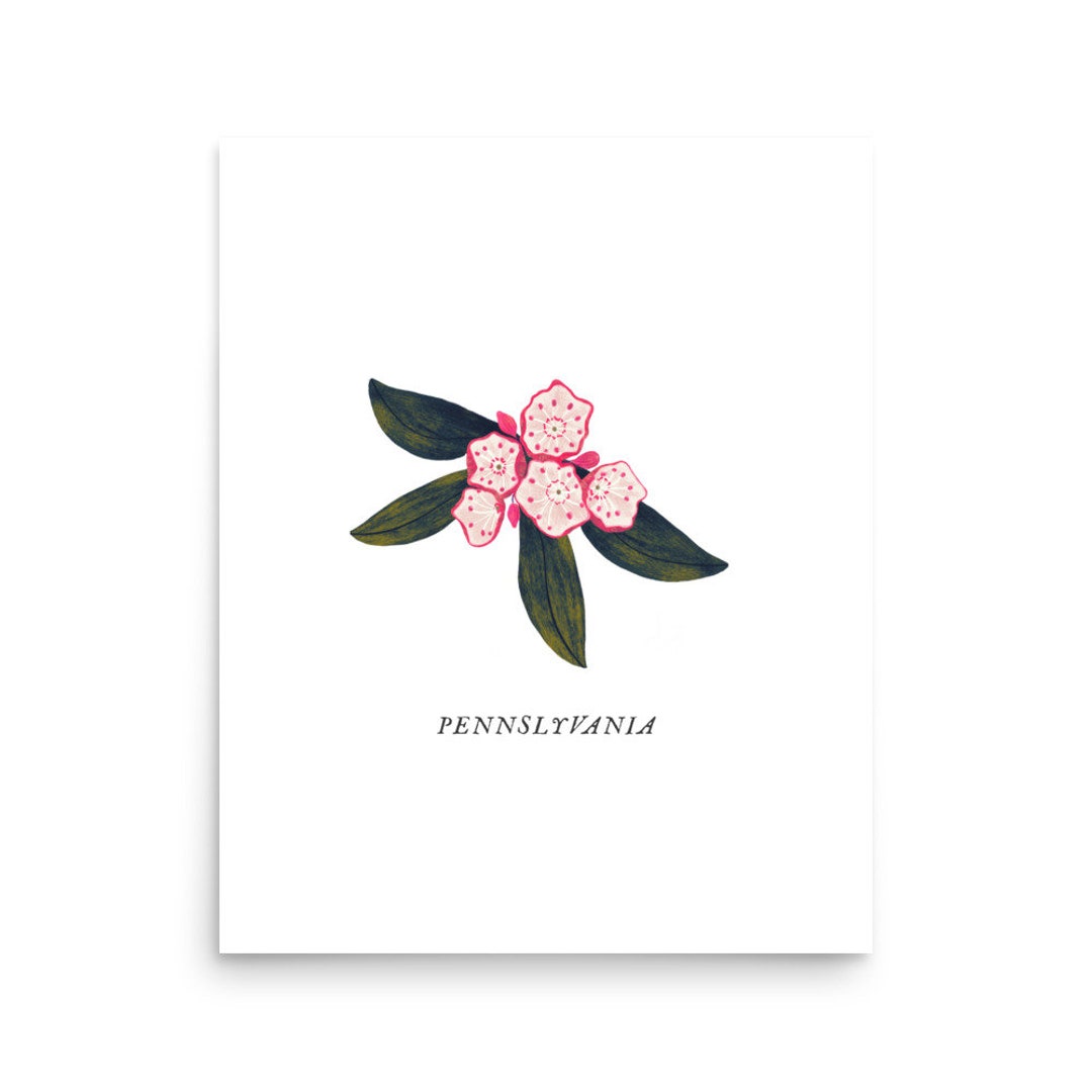 Pennsylvania State Flower, Mountain Laurel Print, Pennsylvania Art ...