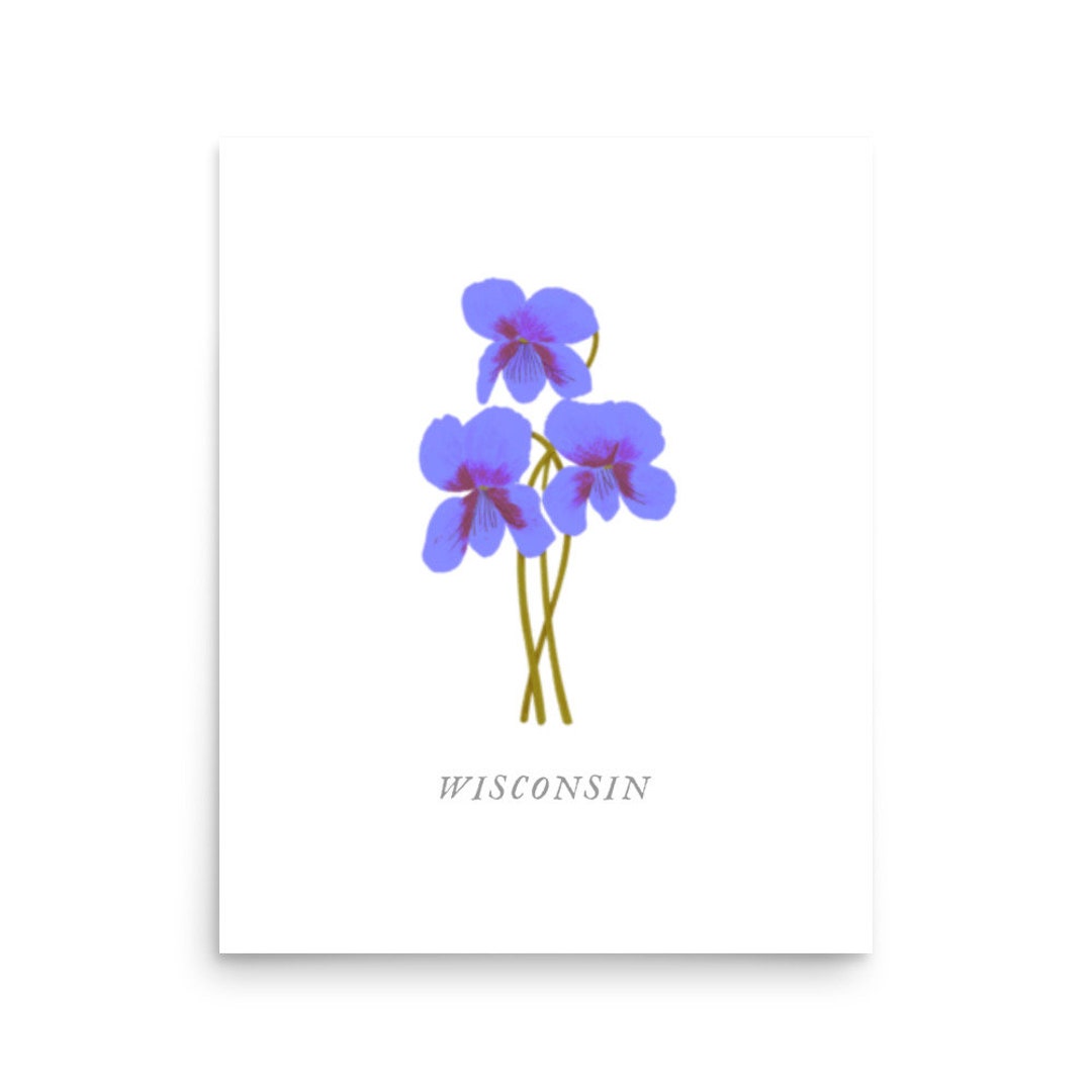 Wisconsin State Flower, WI State Flower, Wisconsin Flower Violet ...