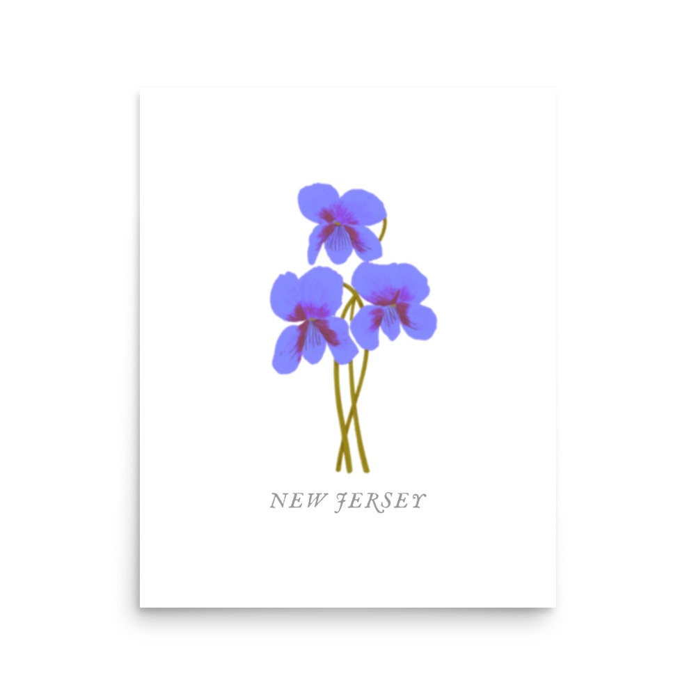 New Jersey State Flower, New Jersey Gifts, New Jersey Wall Art, New ...