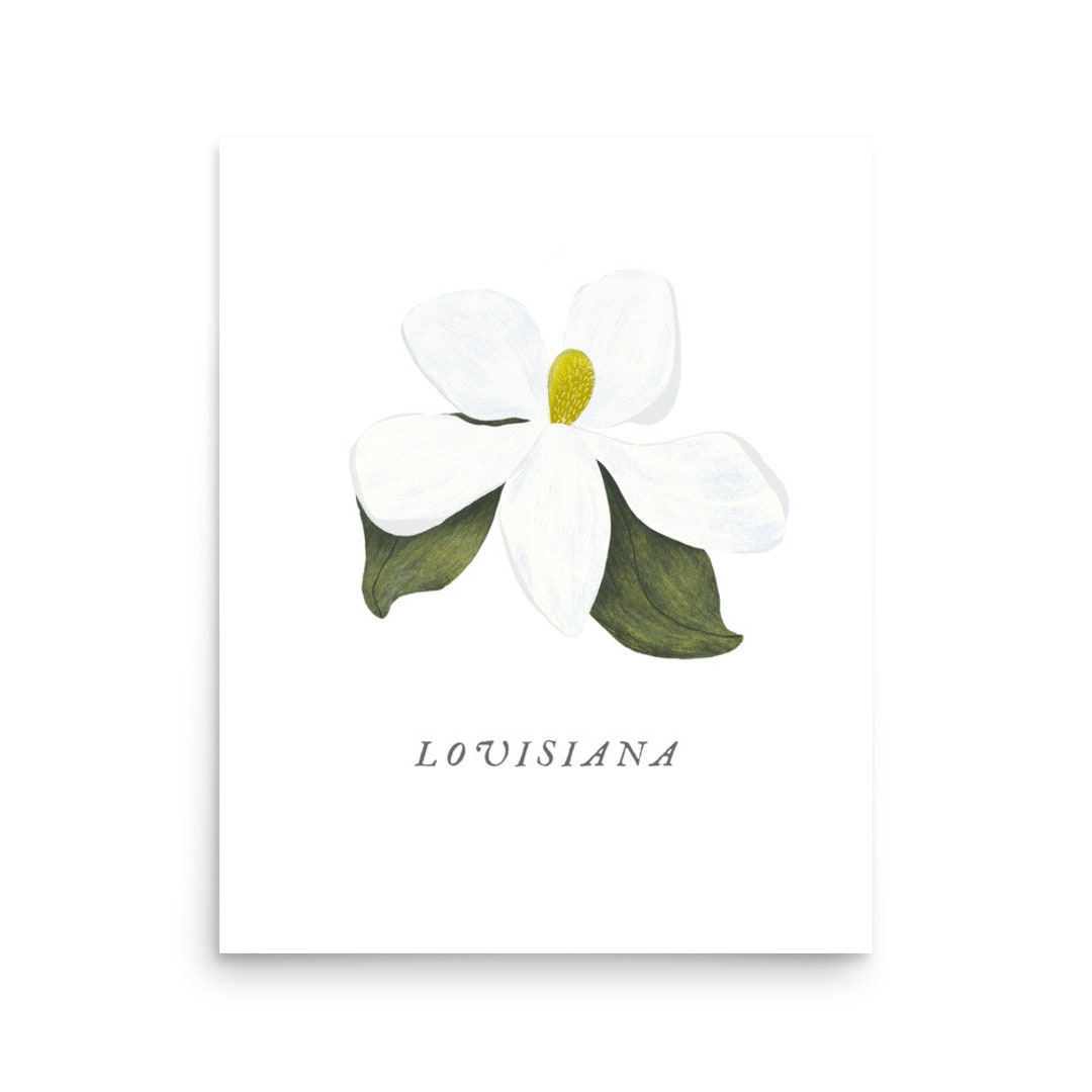 Louisiana Magnolia Wall Art, State Flower Art Louisiana Flower Print ...