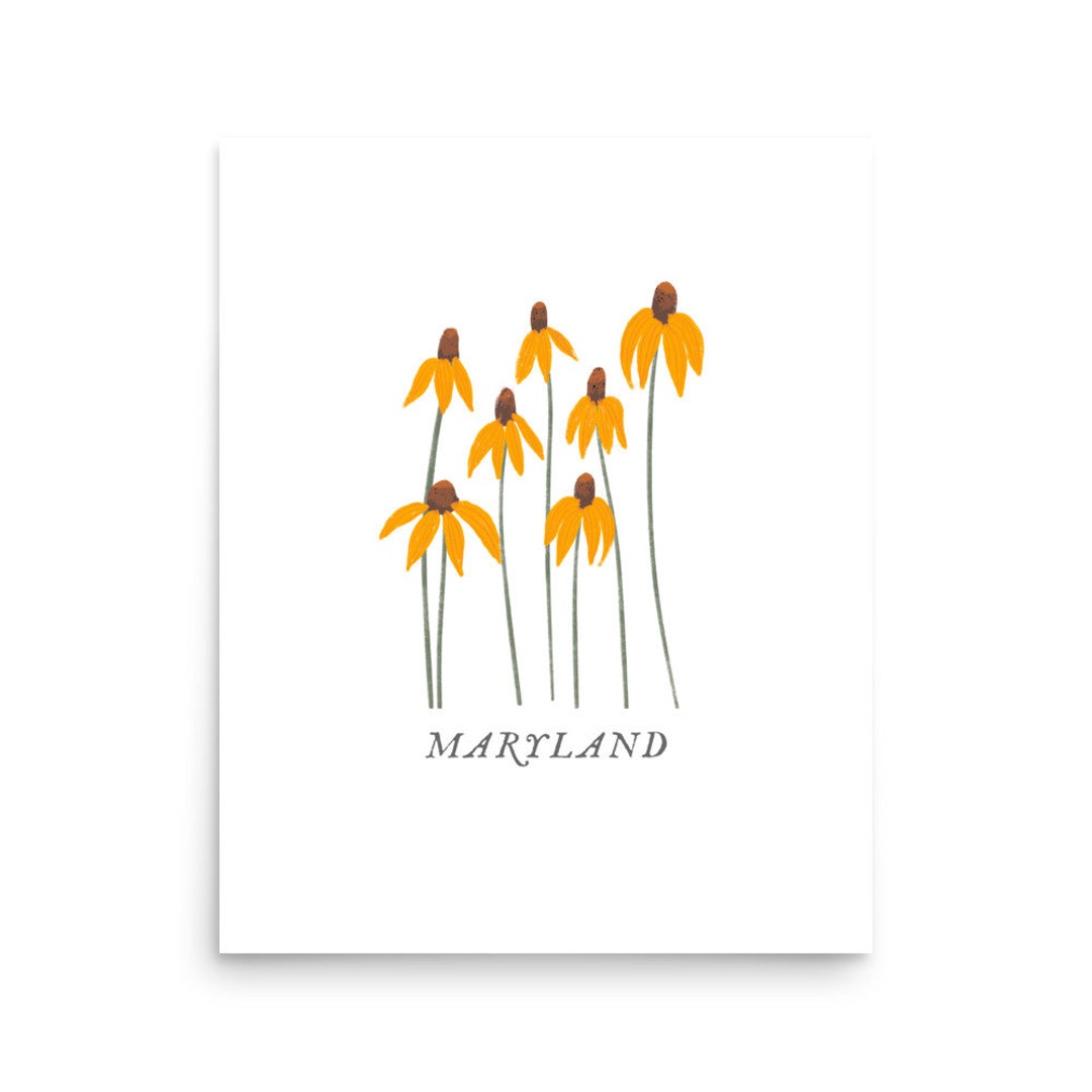 Maryland State Flower, Maryland Gifts, Maryland Art, Maryland Artwork ...