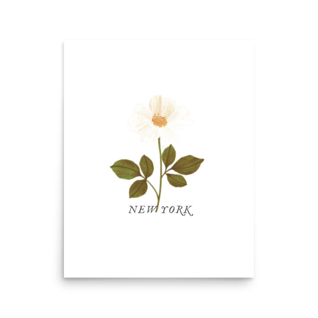New York State Flower, New York Rose Print, New York State Art,new York ...