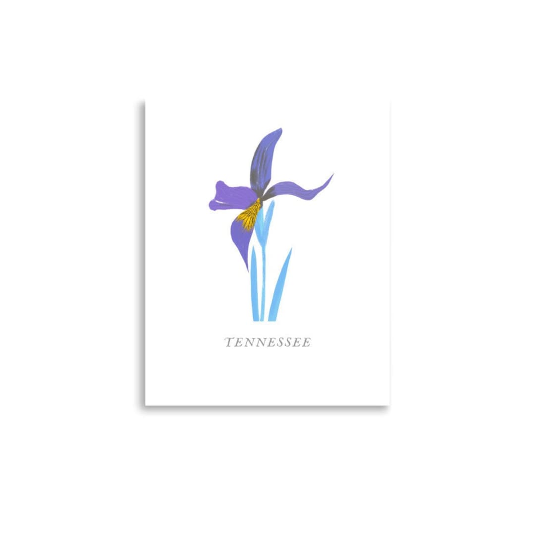 Tennessee State Flower, Tennessee Iris, Tennessee State Print ...