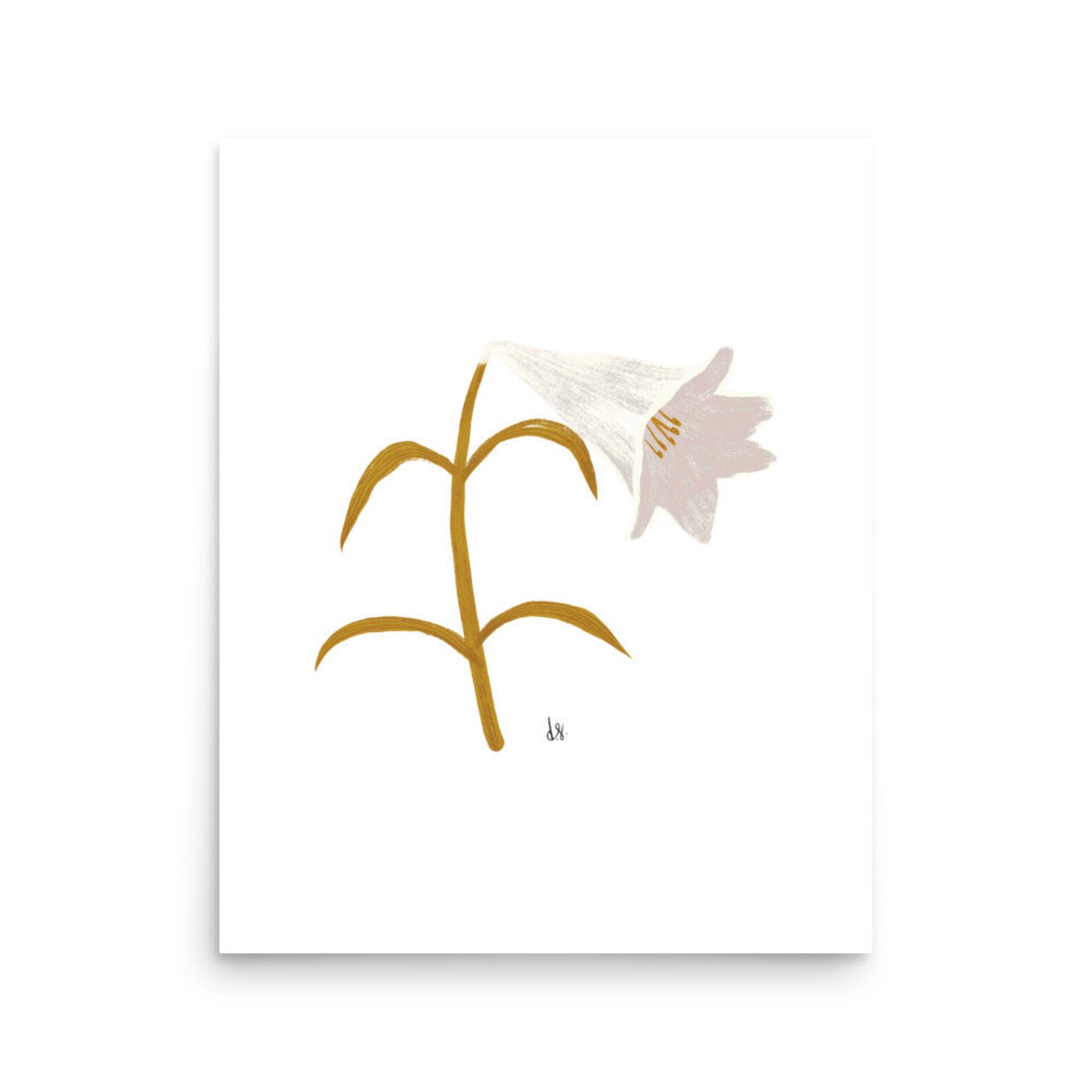 Easter Lily Art, Easter Lily, Easter Lilies, Easter Lily Stem, Easter ...