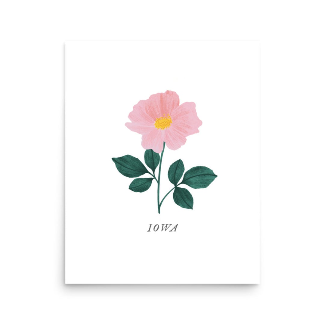 Iowa Wild Rose State Flower, Iowa Floral Print, Iowa Flower, Ia Poster ...