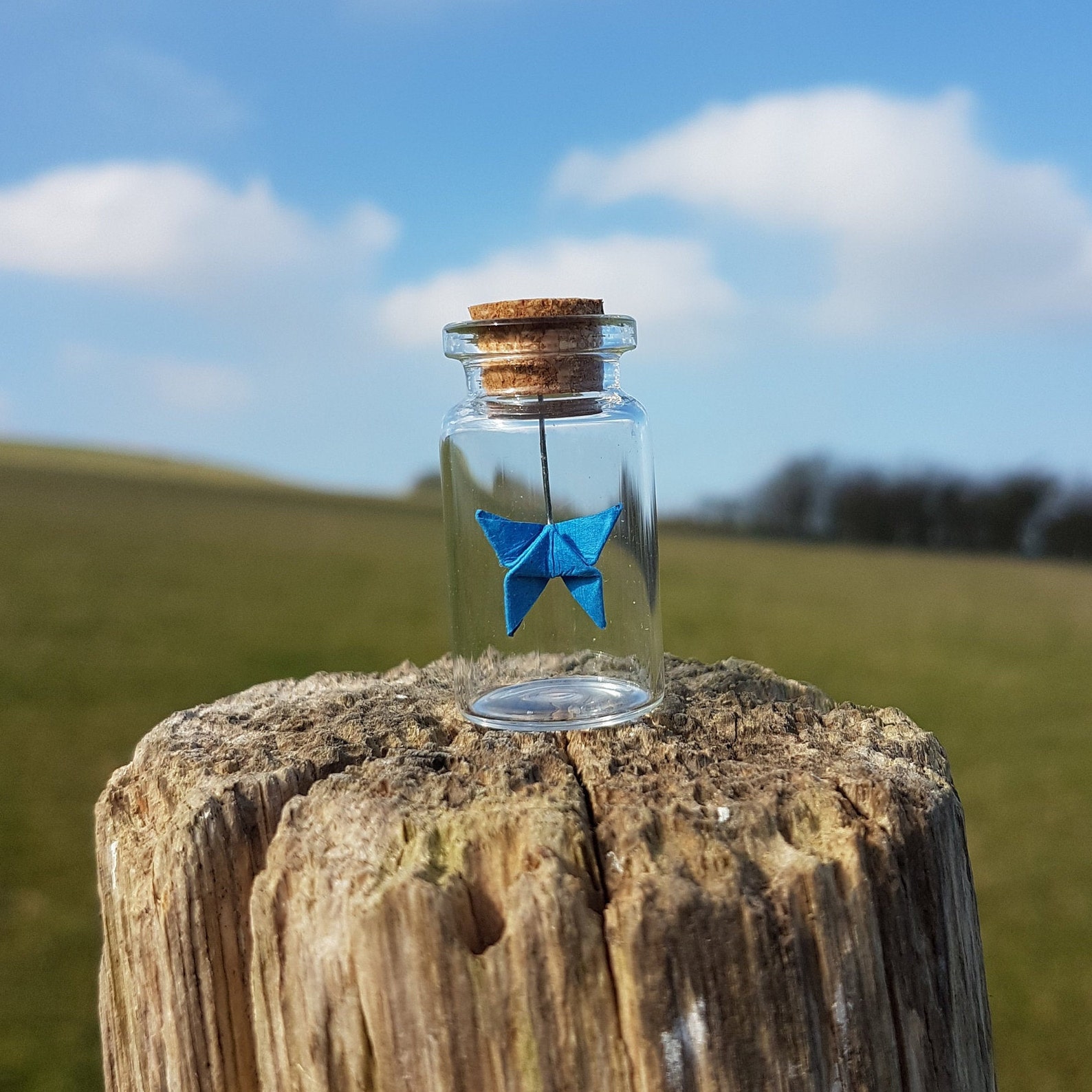 Mini Origami in a Bottle / Jar Crane Heart Plane | Etsy
