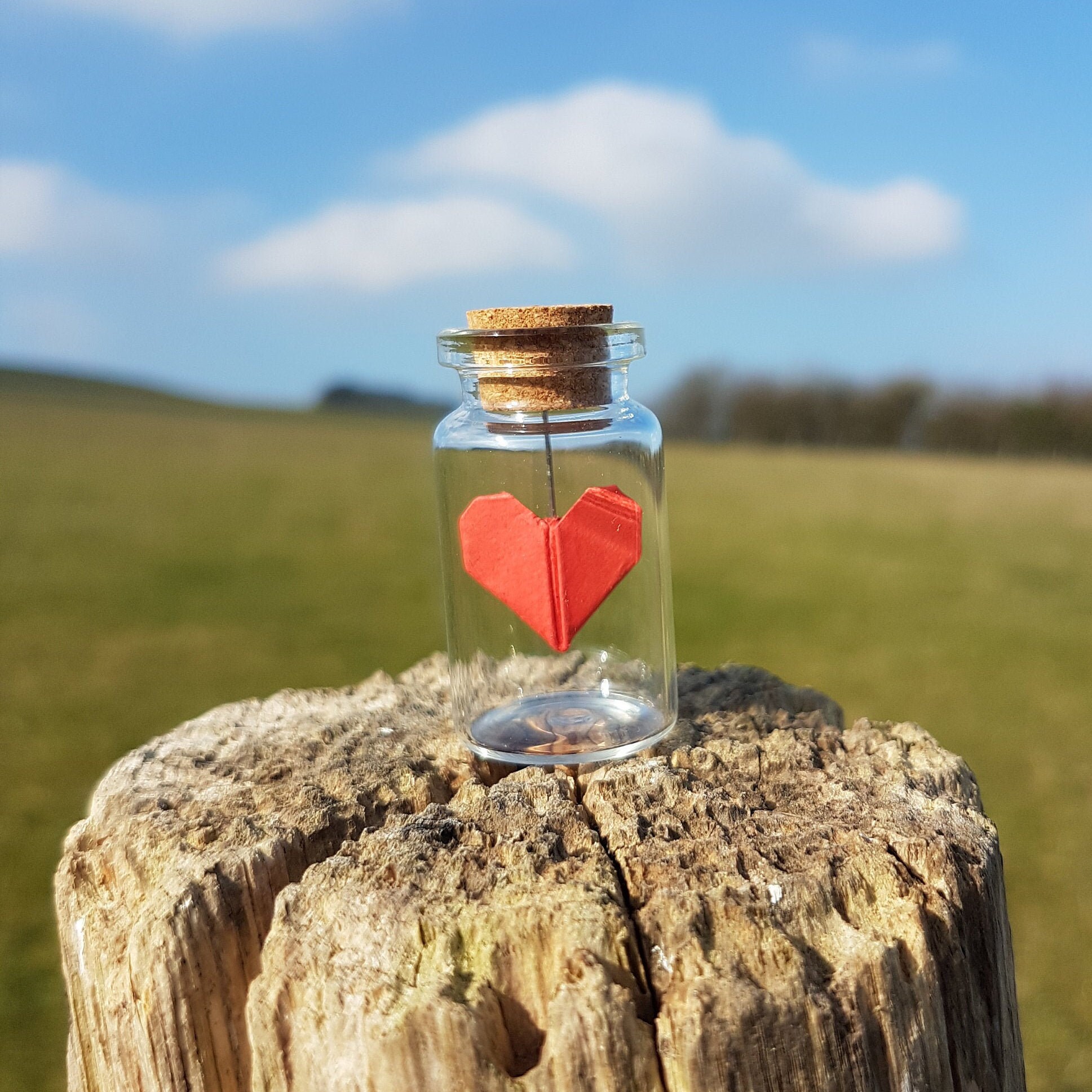 Mini Origami in a Bottle / Jar Crane Heart Plane | Etsy