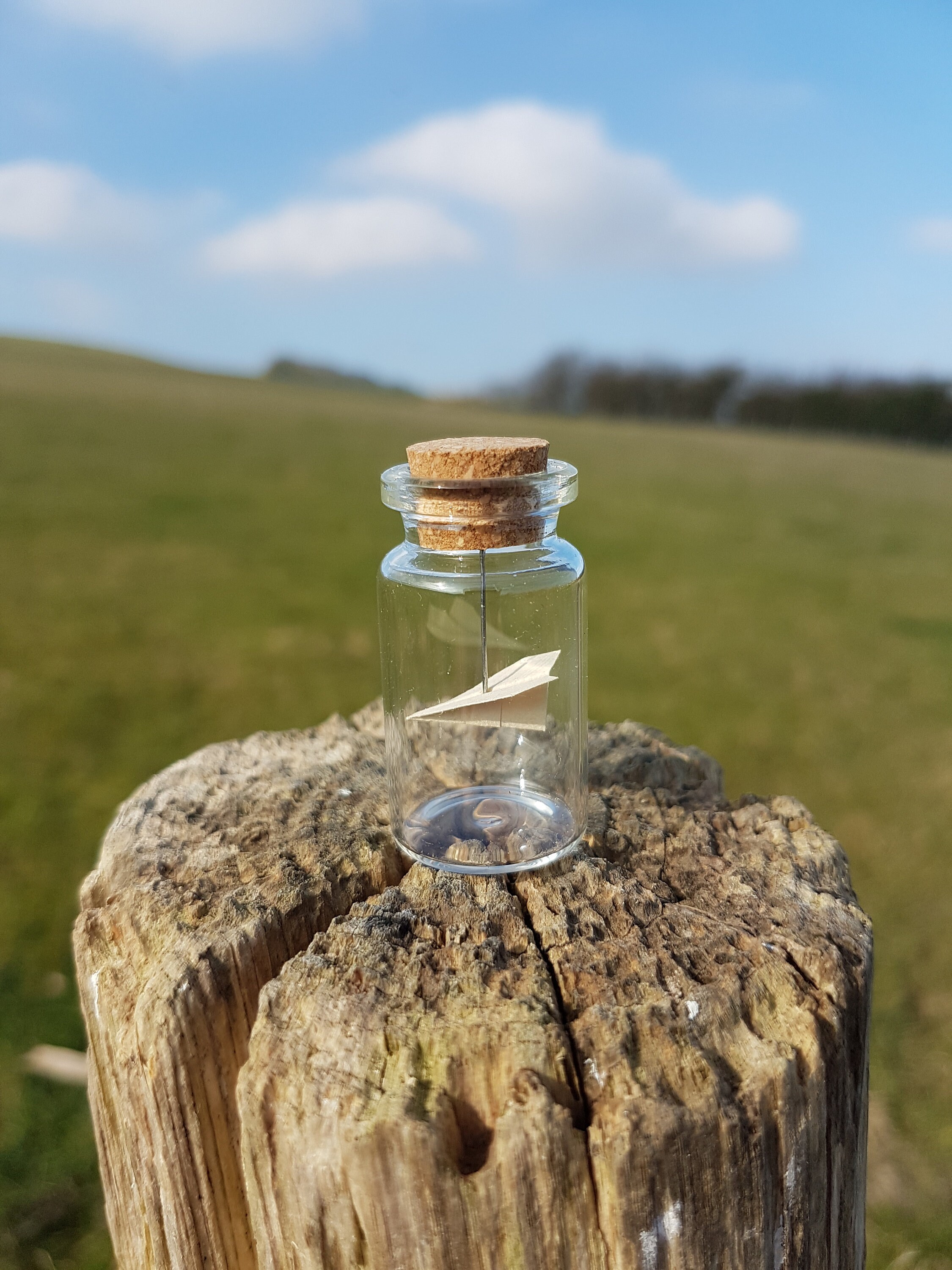 Mini Origami in a Bottle / Jar Crane Heart Plane | Etsy